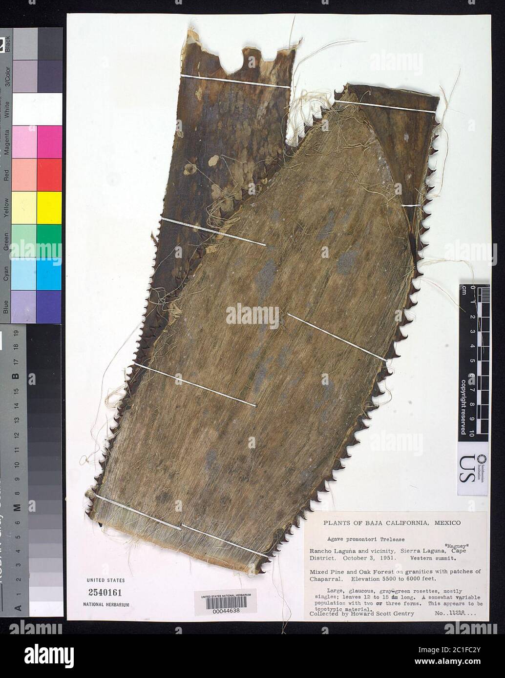 Promontorii hi-res stock photography and images - Alamy