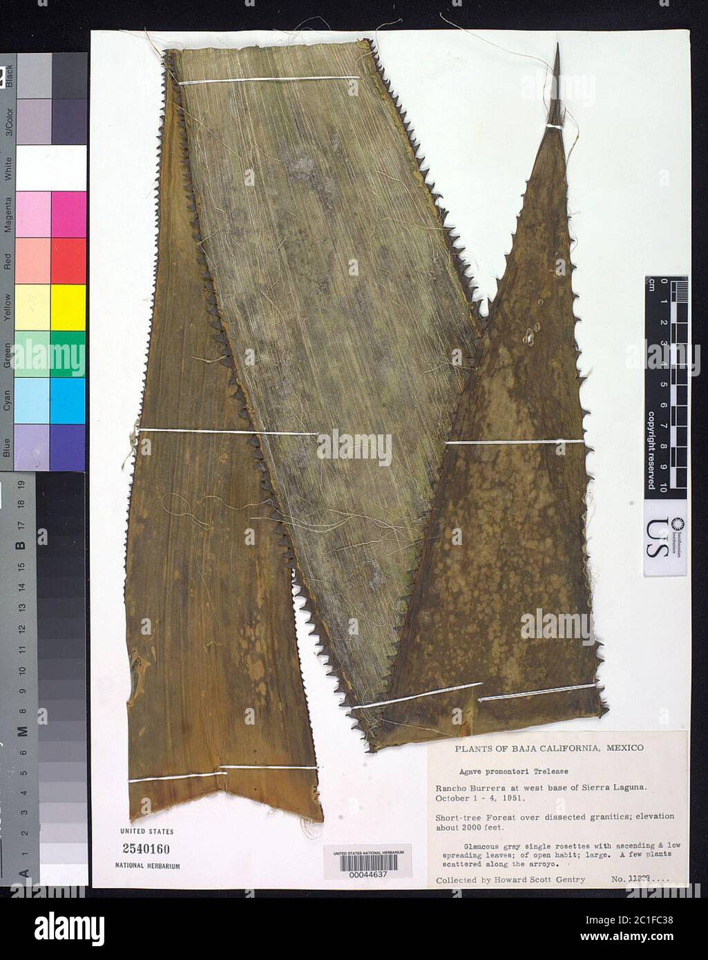 Promontorii hi-res stock photography and images - Alamy