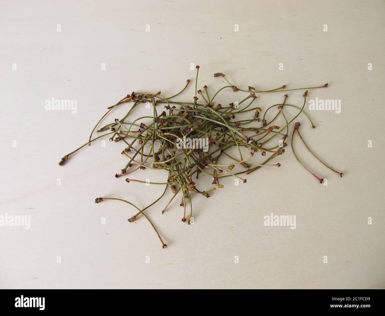 Dried cherry stems Stock Photo - Alamy