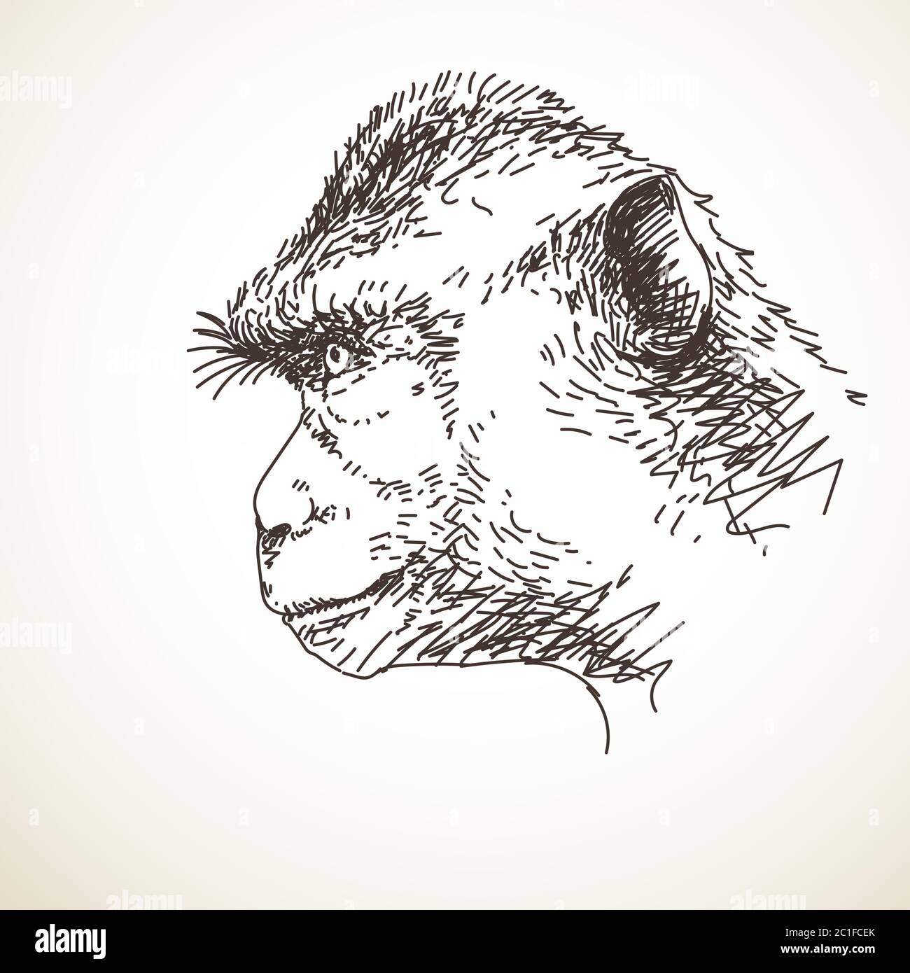 Sketch of monkey head, Hand drawn illustration Stock Vector Image & Art ...