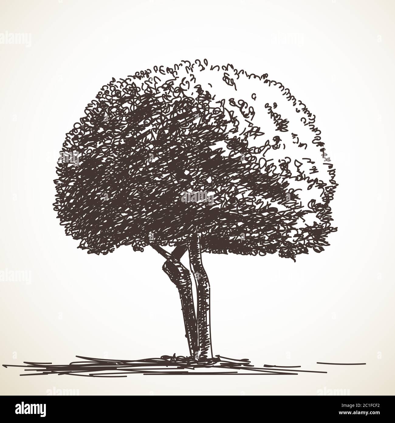 Sketch of isolated tree, Hand drawn illustration Stock Vector Image ...