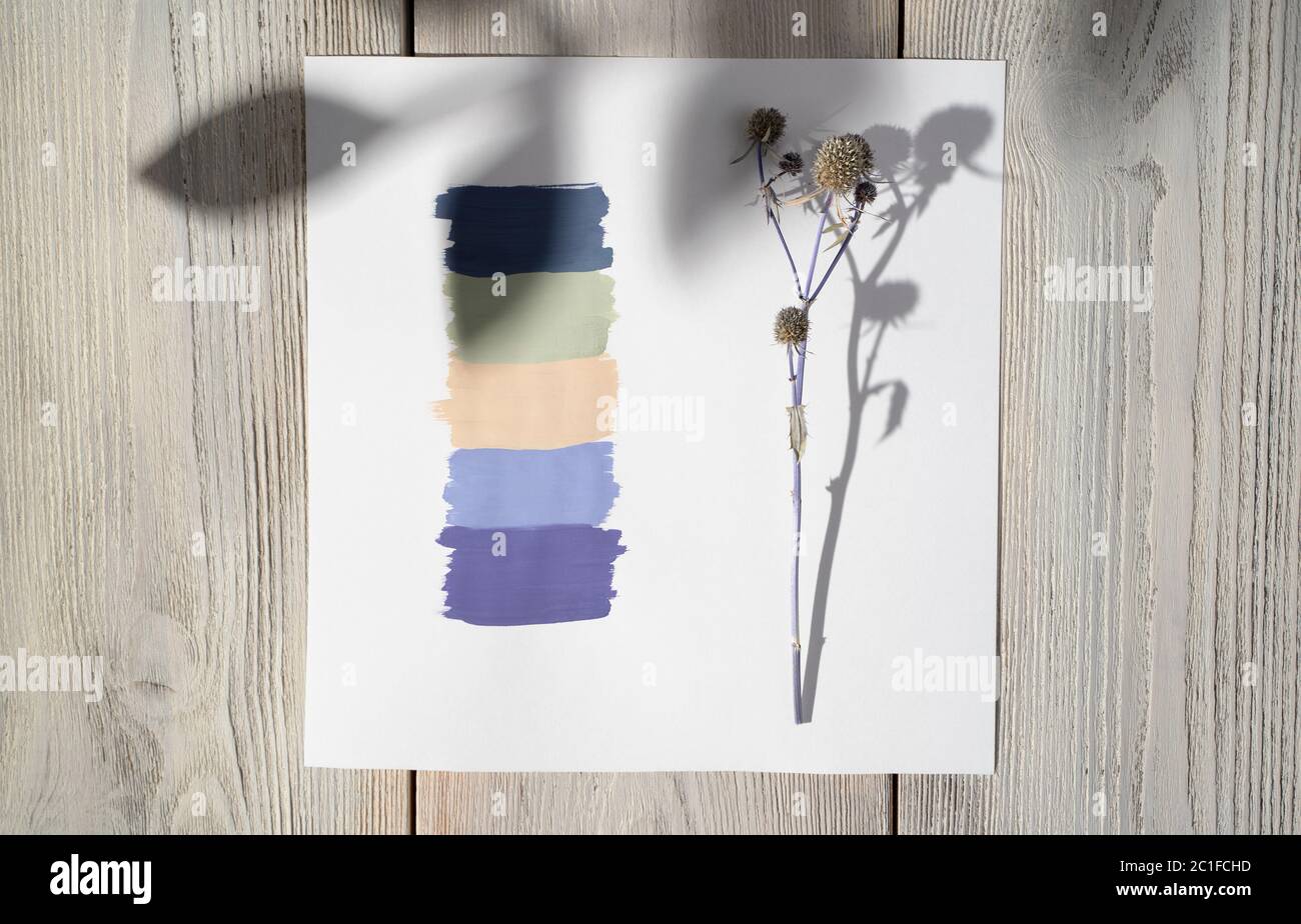 A color palette with samples of flowers taken from a dried field plant ...