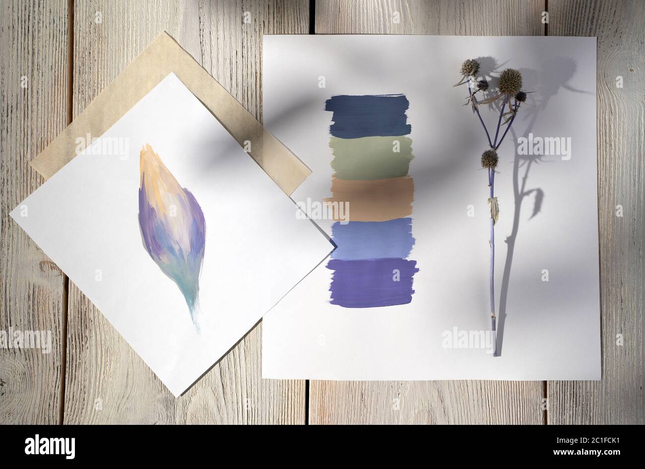 A color palette with samples of flowers taken from a dried field plant ...