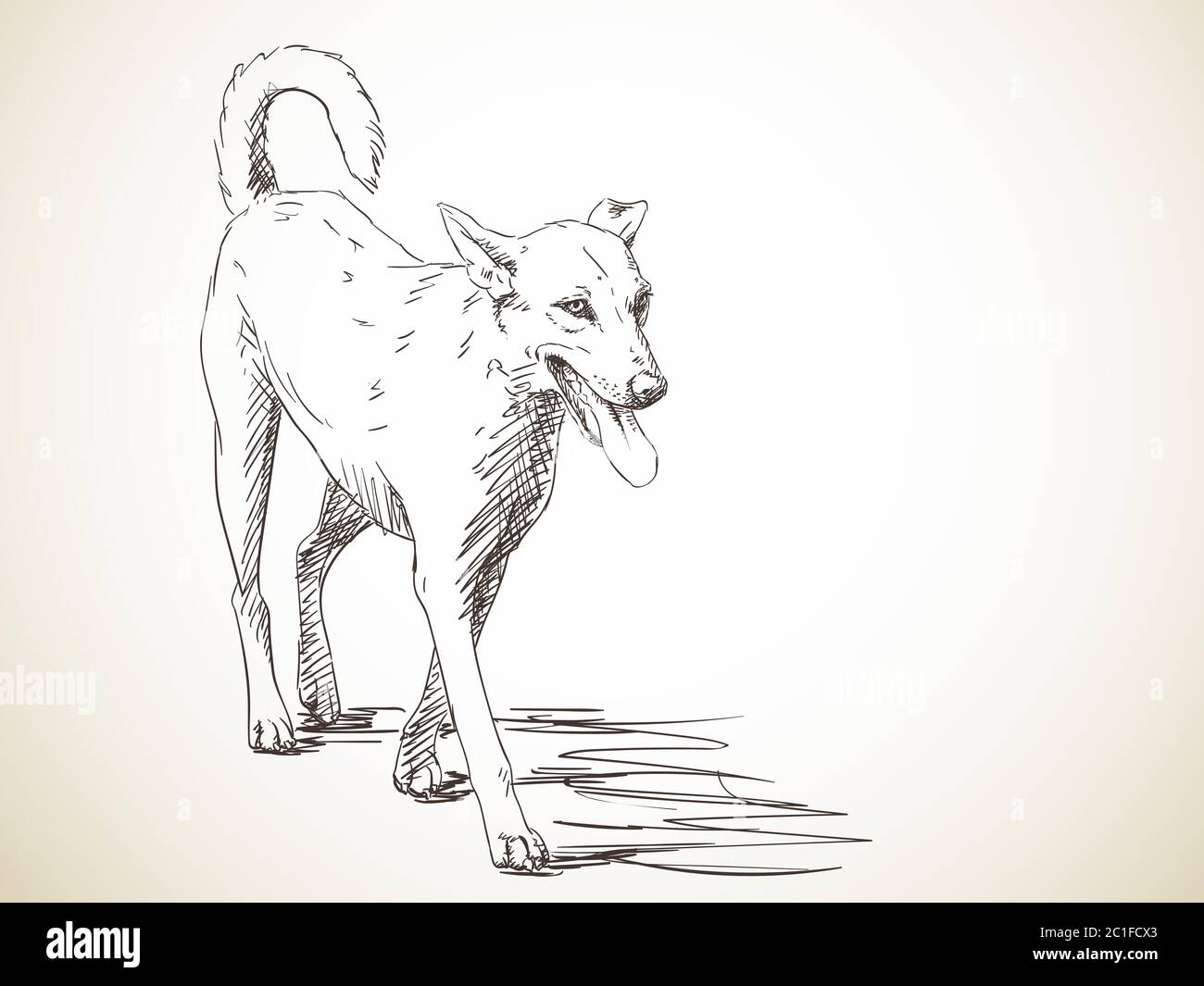 Sketch of dog. Hand drawn illustration. Isolated Stock Vector Image ...