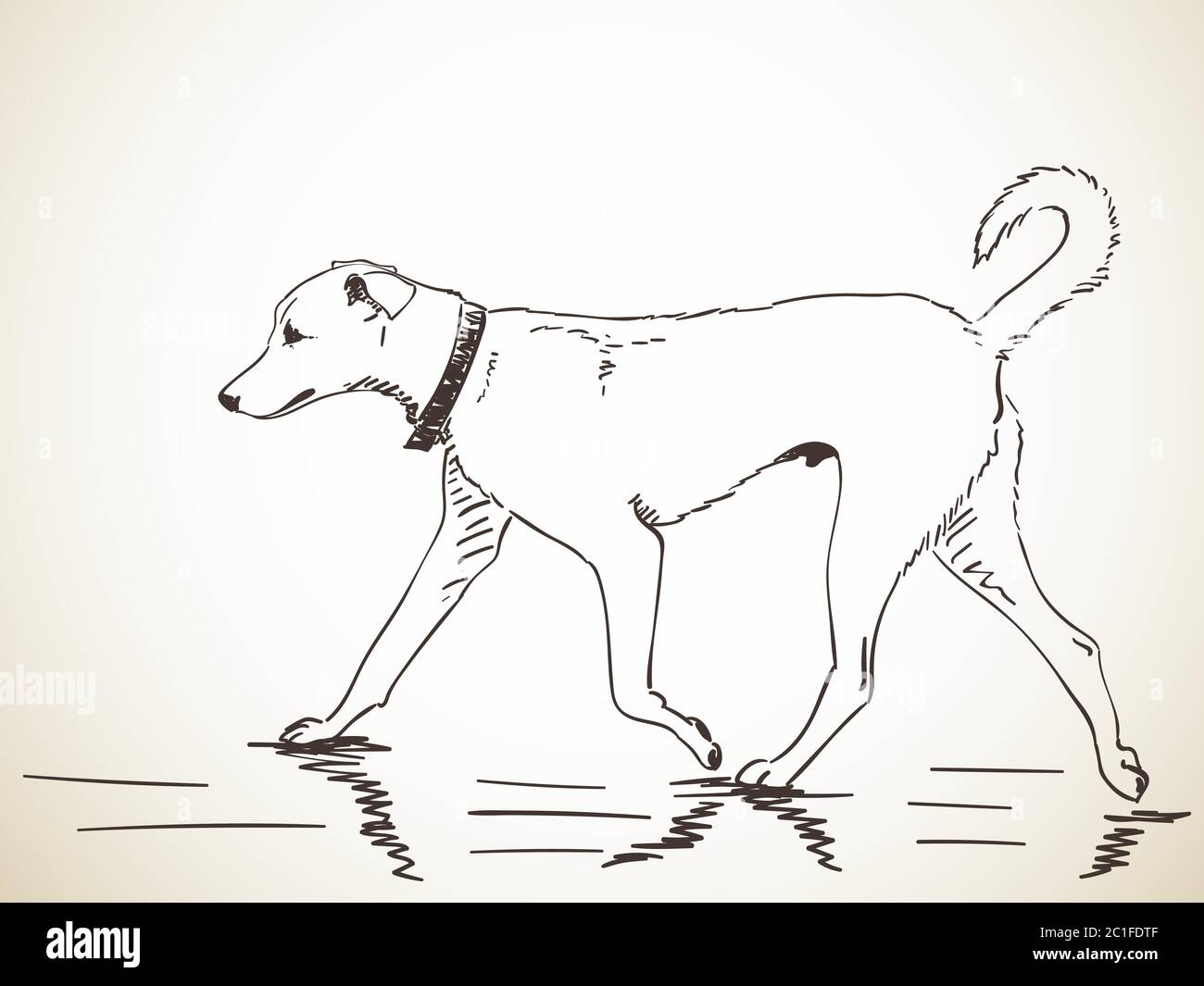 Sketch of dog. Hand drawn illustration. Isolated Stock Vector Image ...