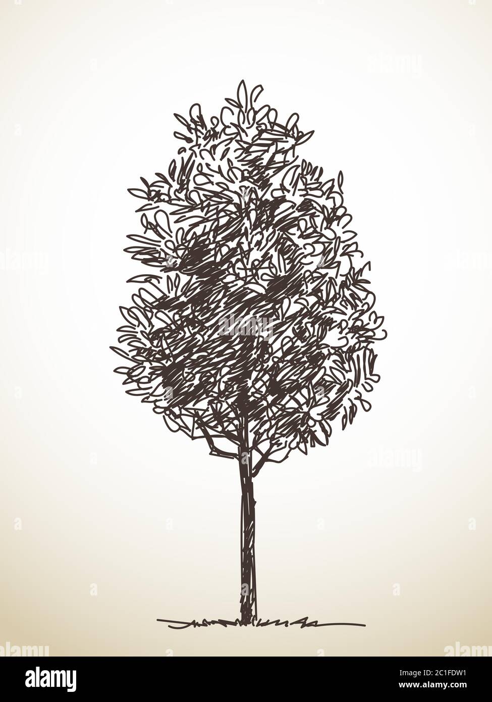 Sketch of isolated tree, Hand drawn illustration Stock Vector Image ...
