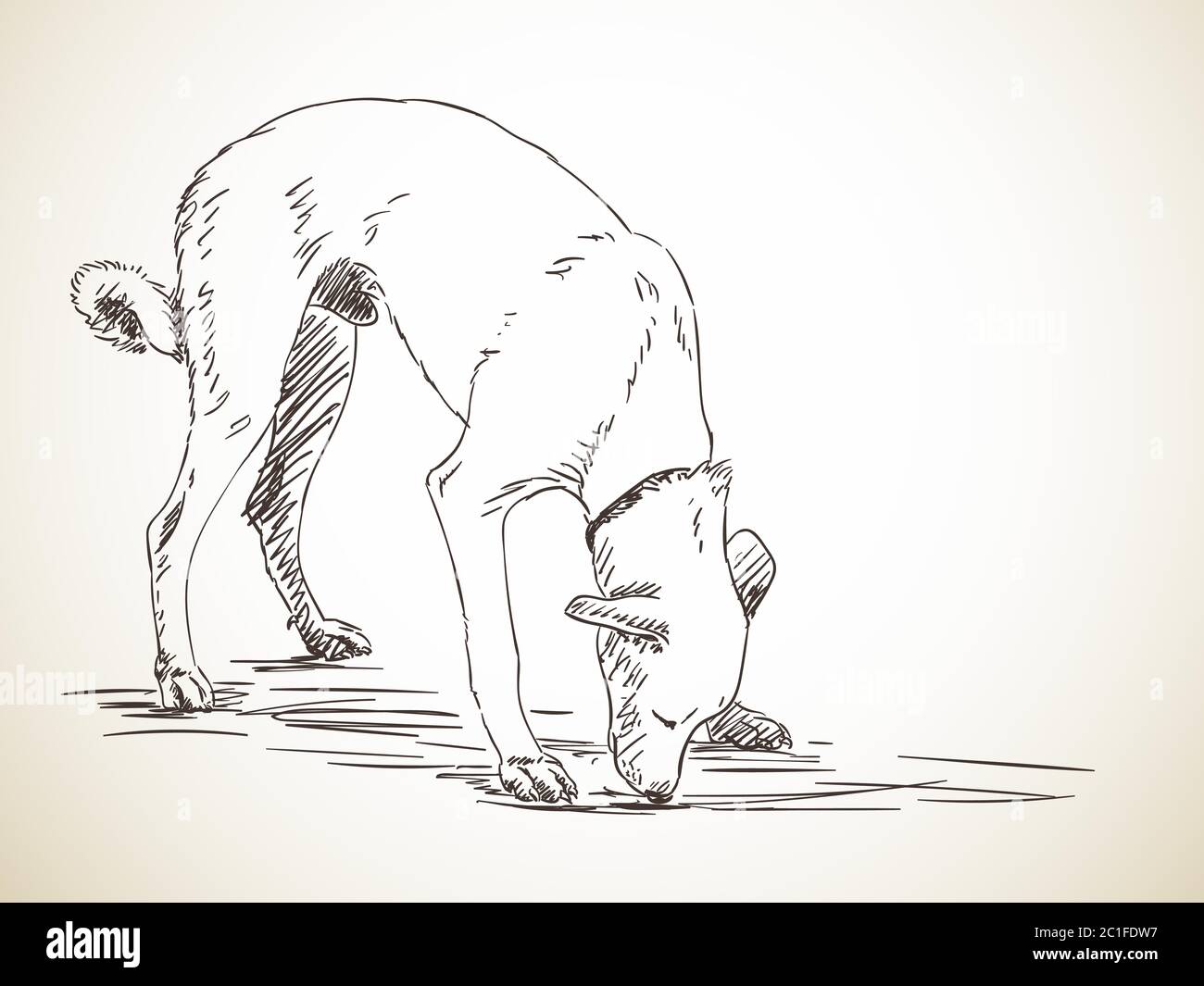 Dog sniffing but dog Stock Vector Images - Alamy