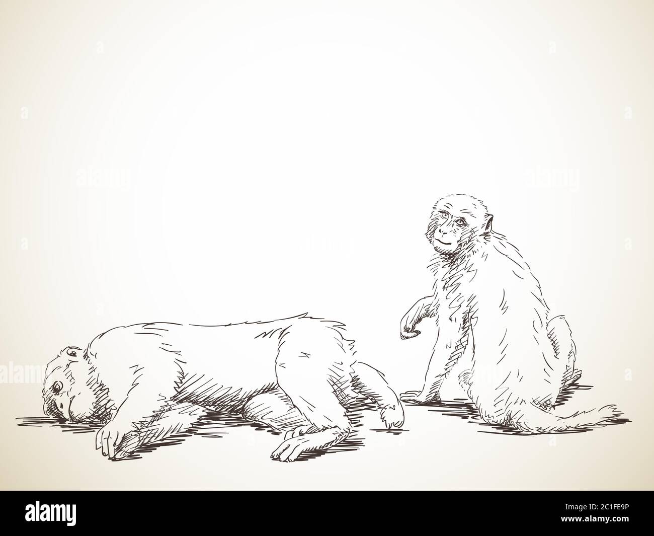 Sketch of couple of monkey, Hand drawn illustration Stock Vector Image ...