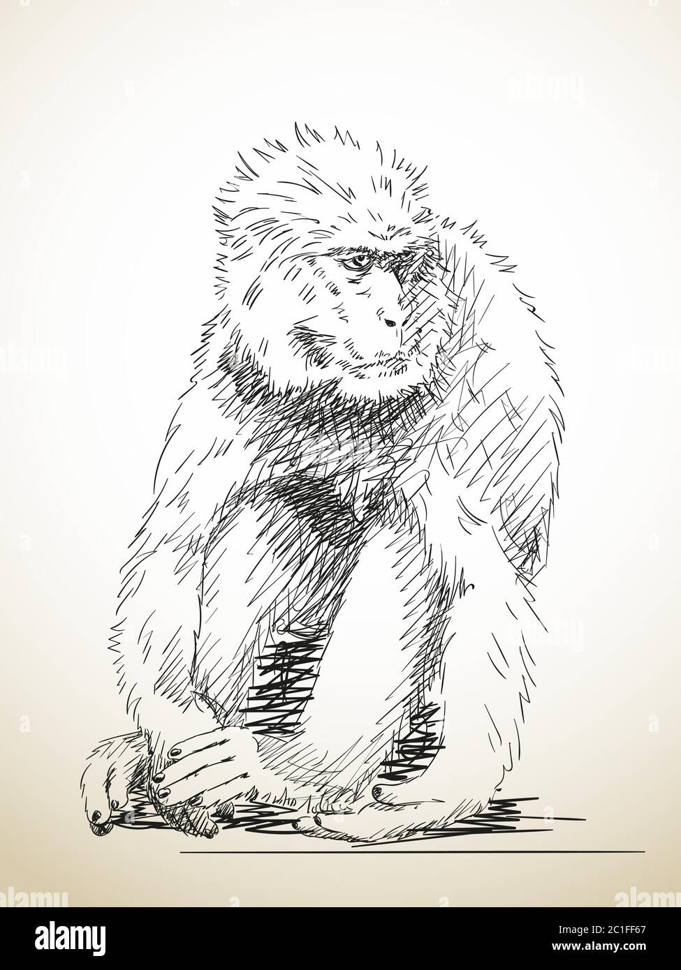 Sketch of monkey, Hand drawn illustration Stock Vector Image & Art - Alamy