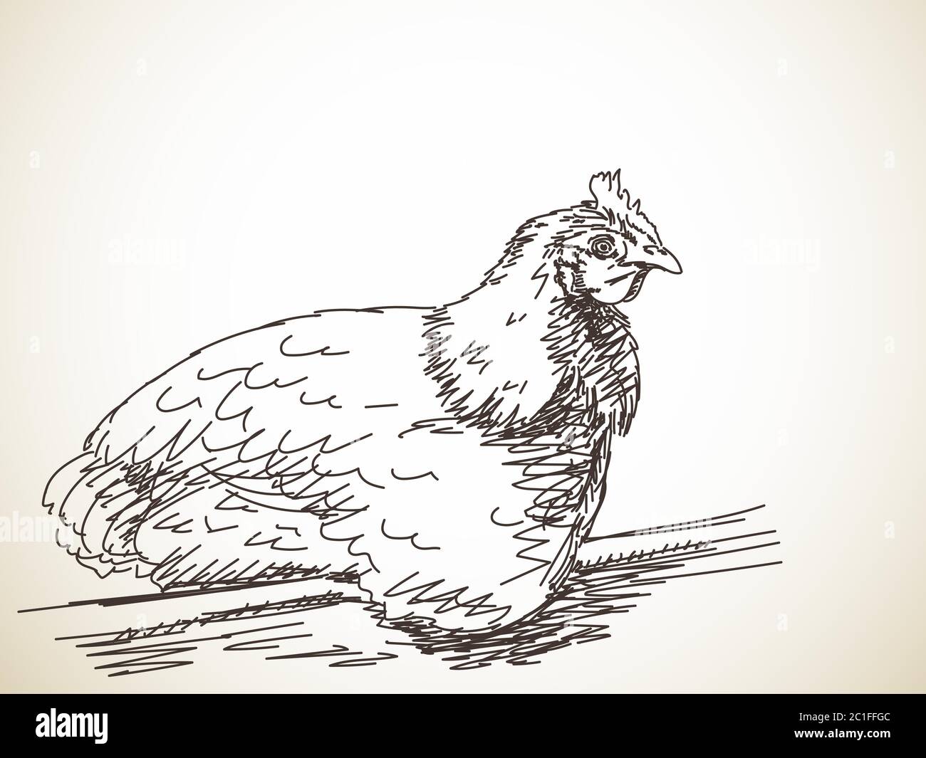 Sketch of hen, Hand drawn illustration Stock Vector Image & Art - Alamy
