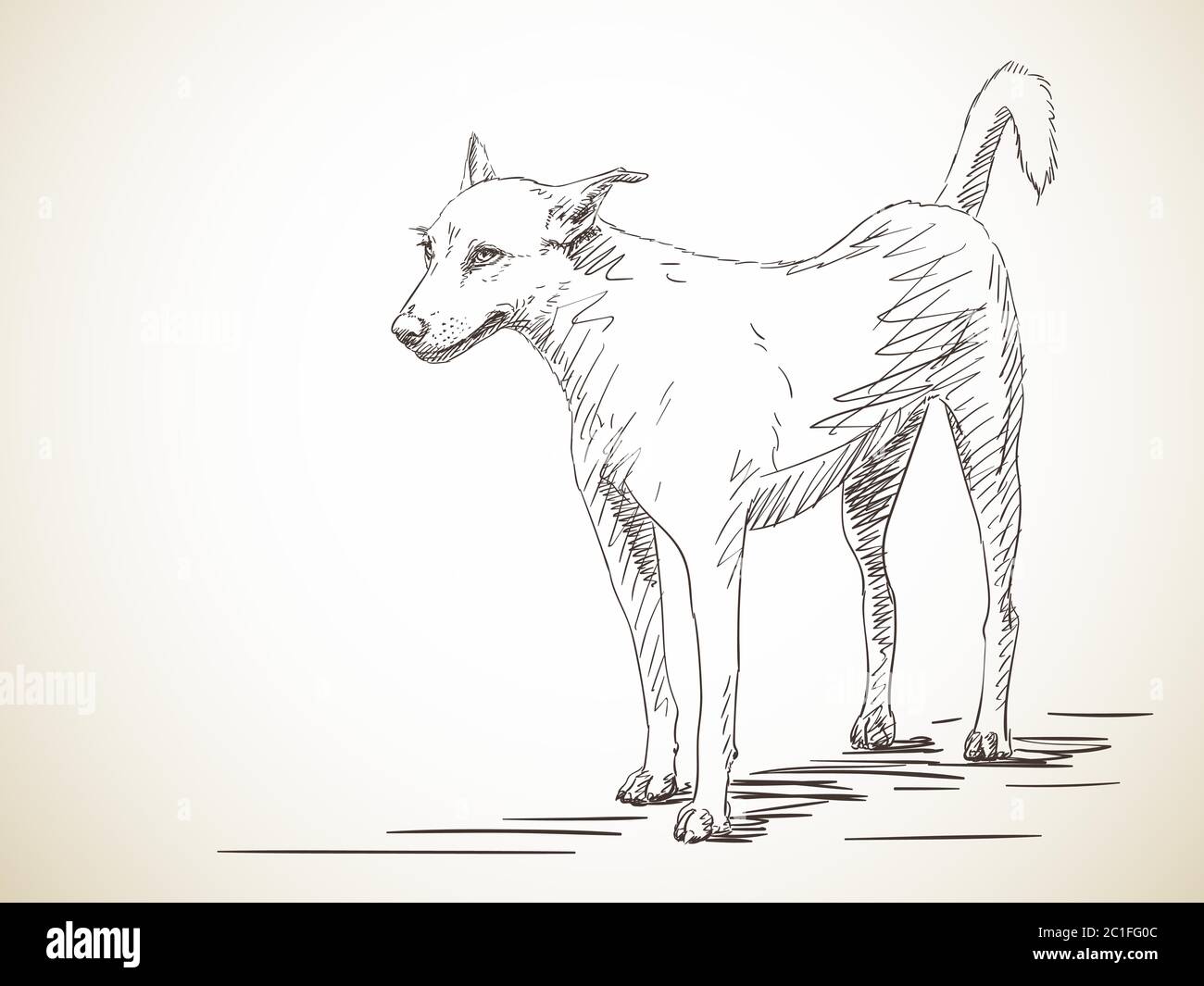 Sketch of dog. Hand drawn illustration. Isolated Stock Vector Image ...