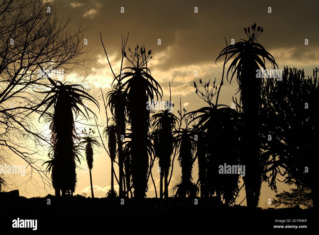 Zimbabwe night sky hi-res stock photography and images - Alamy