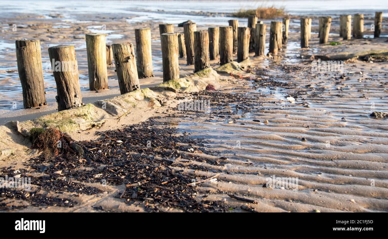 Protection of flora and fauna hi-res stock photography and images - Alamy