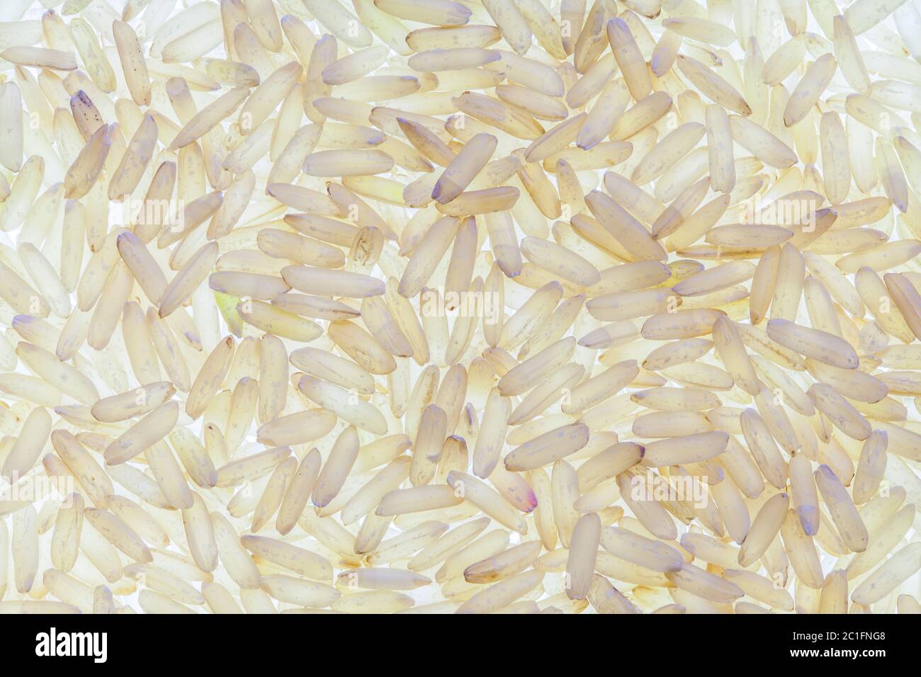 Raw brown rice in backlight - high definition pattern Stock Photo - Alamy