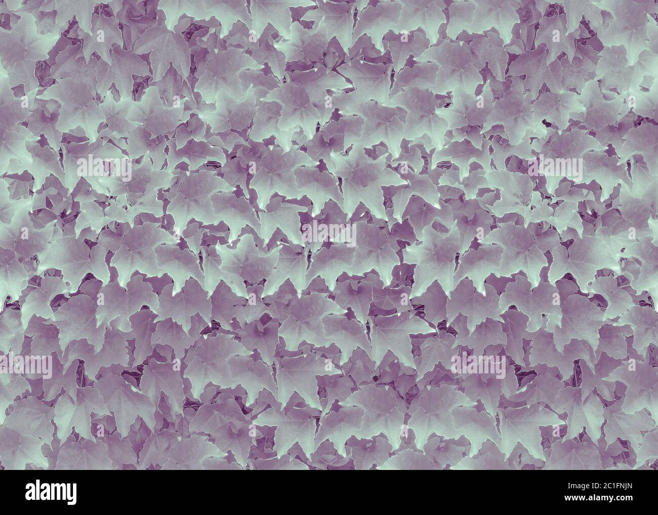 Leafy motif hi-res stock photography and images - Alamy