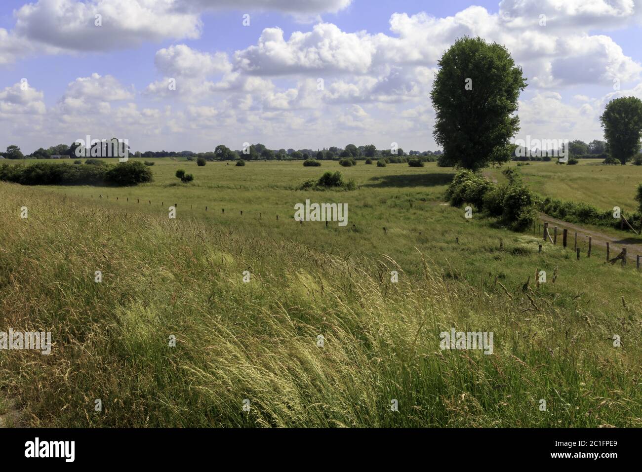 Landscape near Rees, Lower Rhine, nature reserve, North Rhine ...