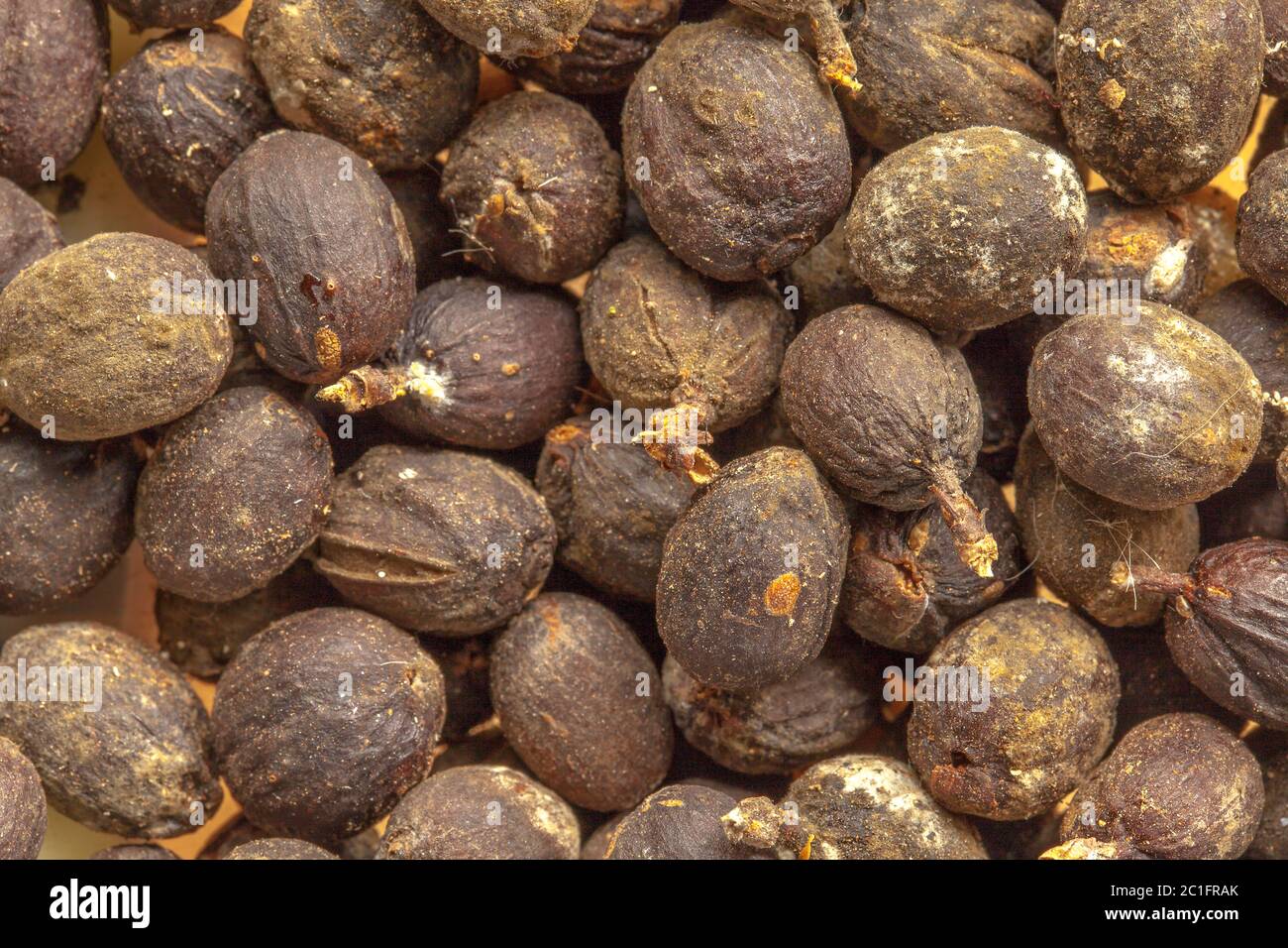 Coffee bean fruits in shell - high definition pattern Stock Photo - Alamy