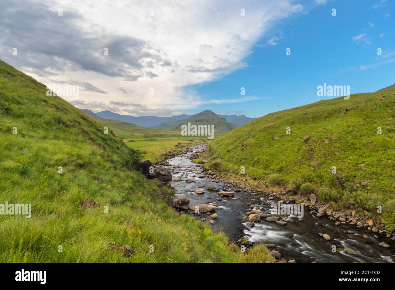 River flowing in late afternoon light Stock Photo - Alamy