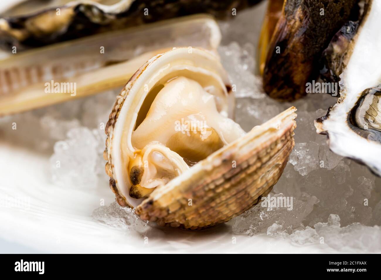 Detail of raw seafood on ice with shellfish inside Stock Photo - Alamy