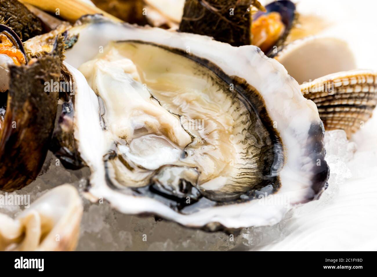 Raw seafood on ice hi-res stock photography and images - Alamy