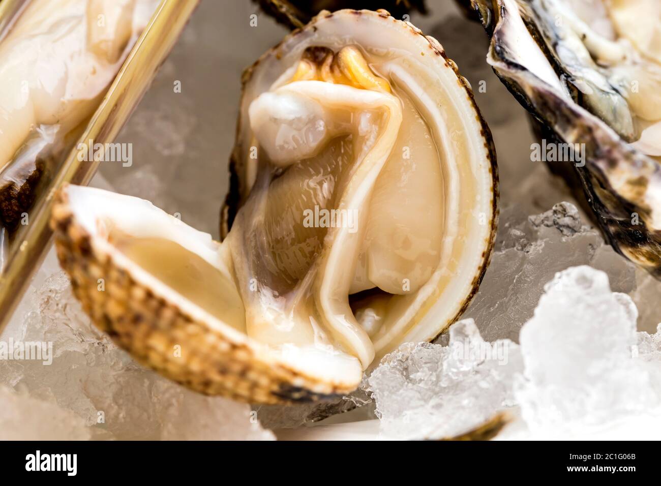 Detail of raw seafood on ice with shellfish inside Stock Photo - Alamy