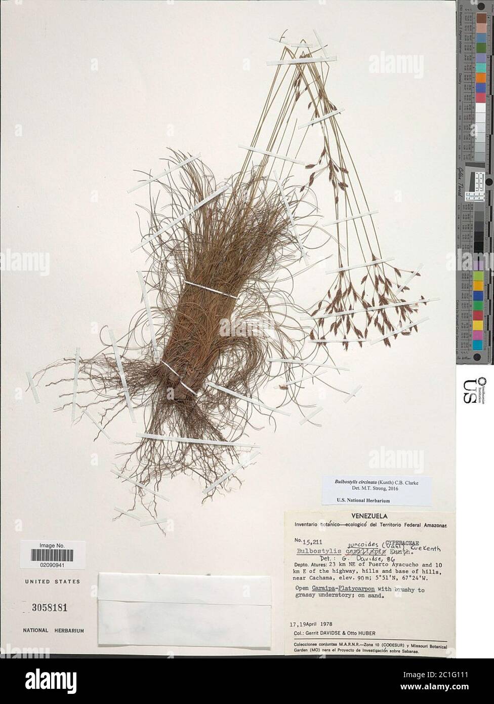 Circinata hi-res stock photography and images - Alamy