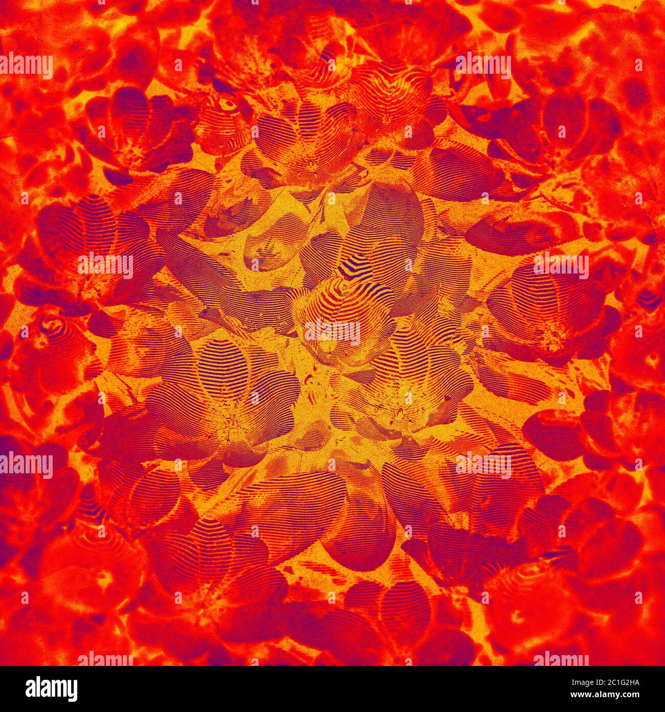 Abstract Flower Art Background Stock Photo - Alamy