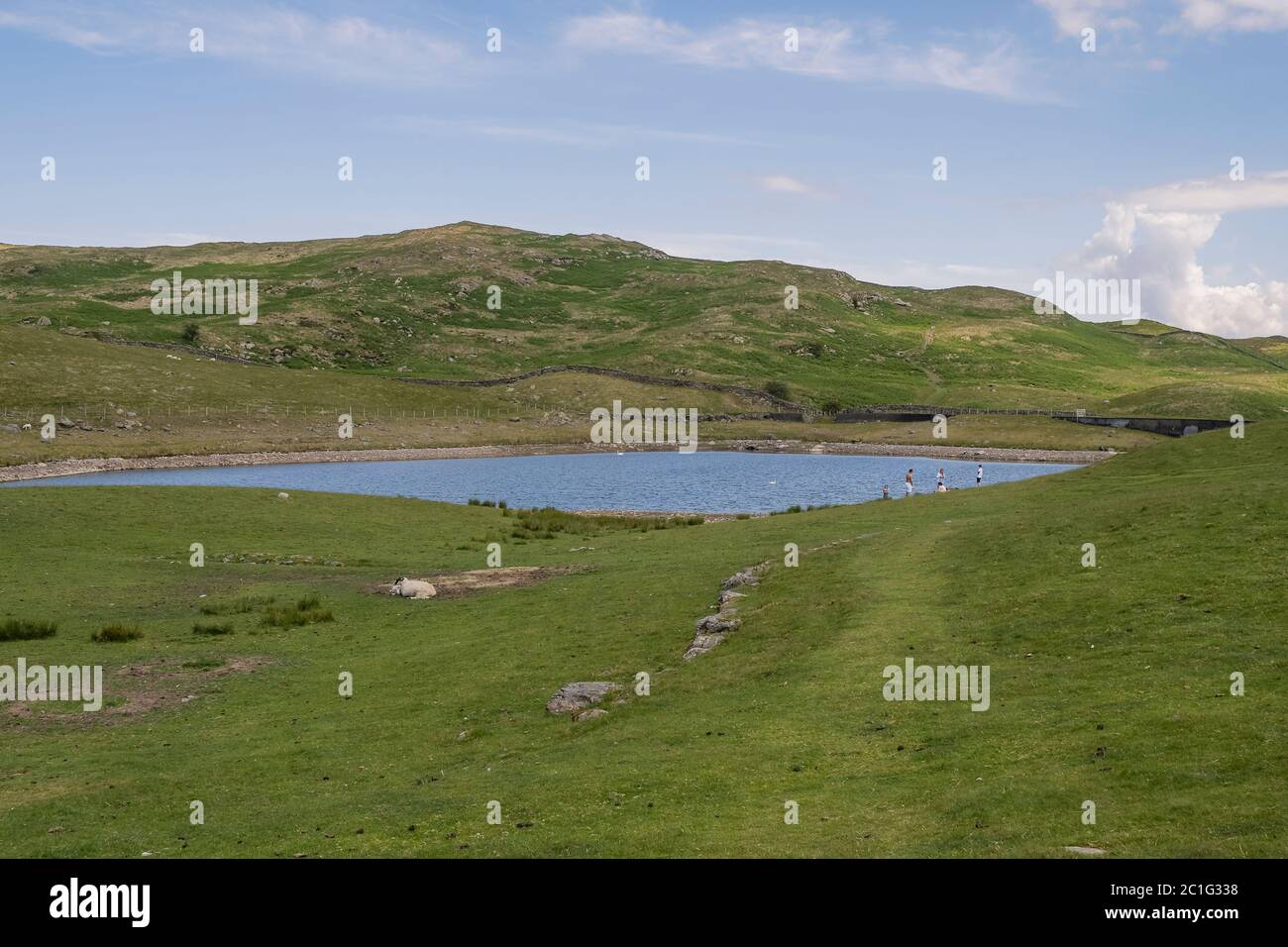 Including wordsworth hi-res stock photography and images - Alamy