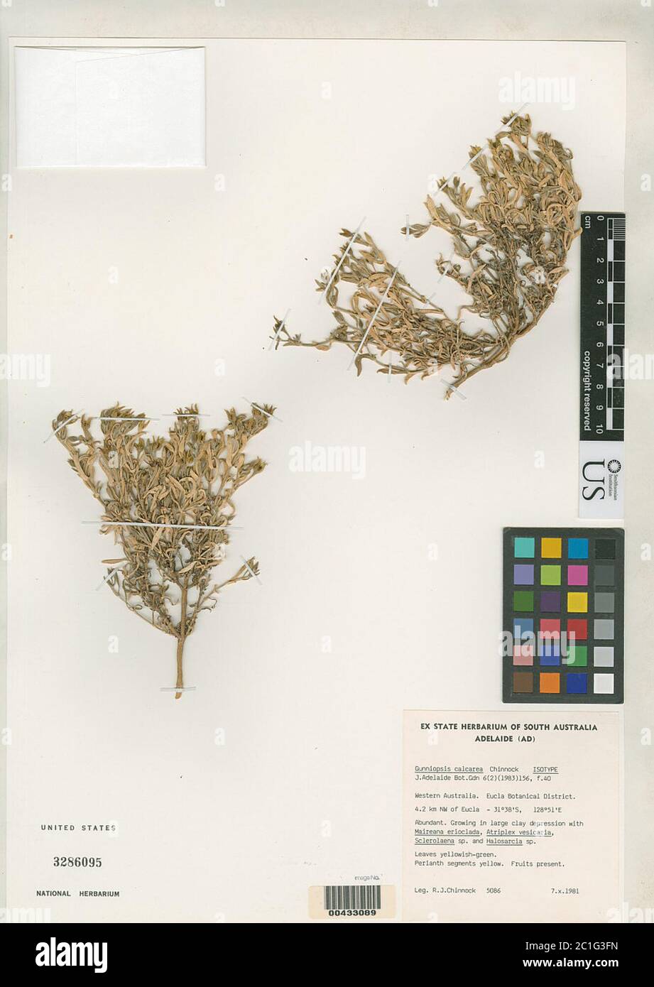 Chinnock hi-res stock photography and images - Alamy