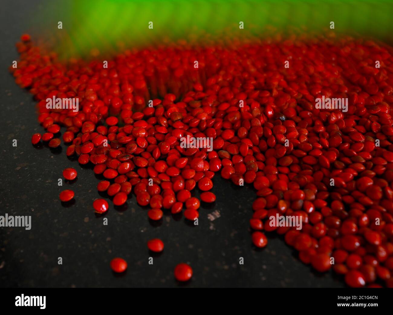 Red sandalwood (Adenanthera pavonina) seeds isolated on a black ...
