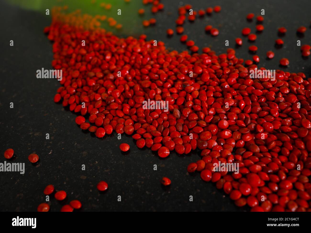 Red sandalwood (Adenanthera pavonina) seeds isolated on a black ...