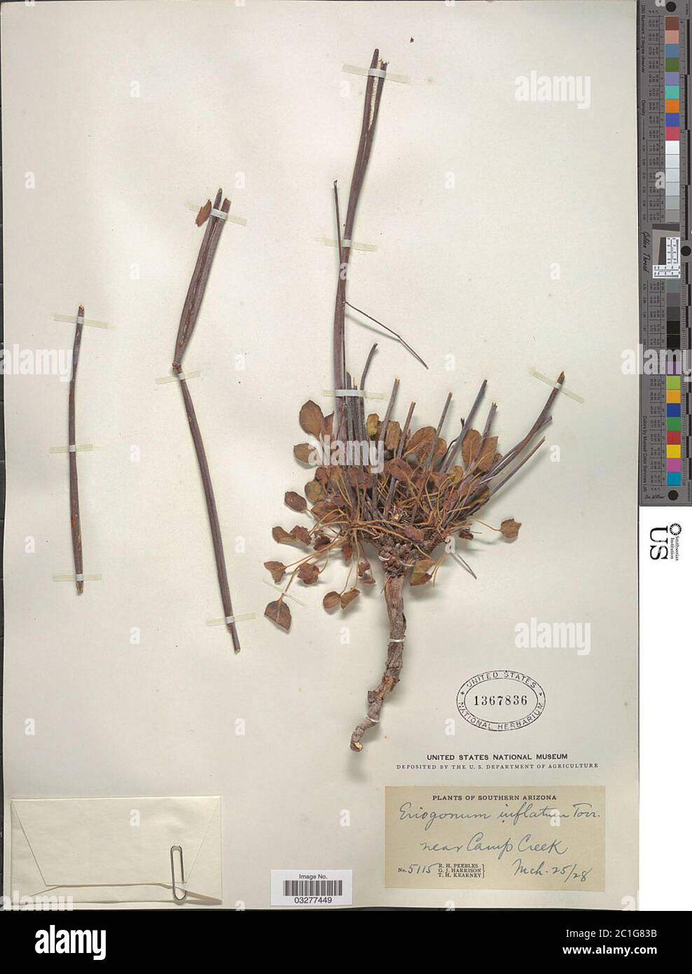 Inflatum hi-res stock photography and images - Alamy