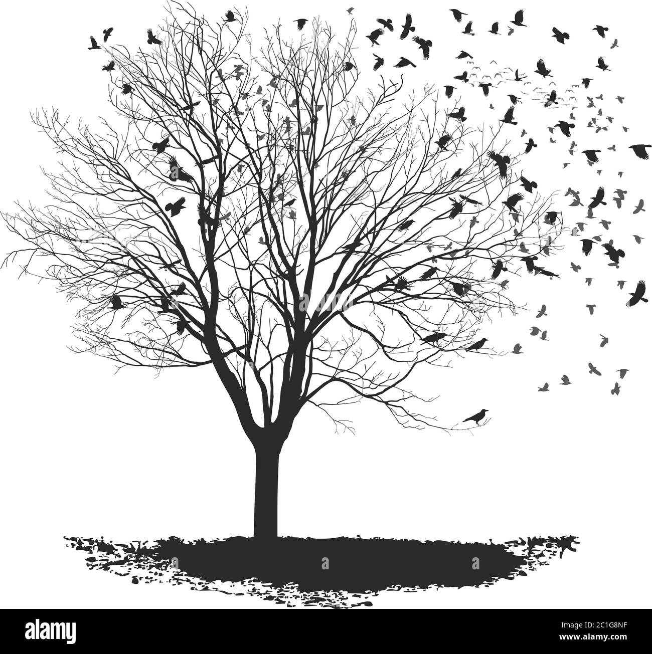 Painting maple Cut Out Stock Images & Pictures - Alamy