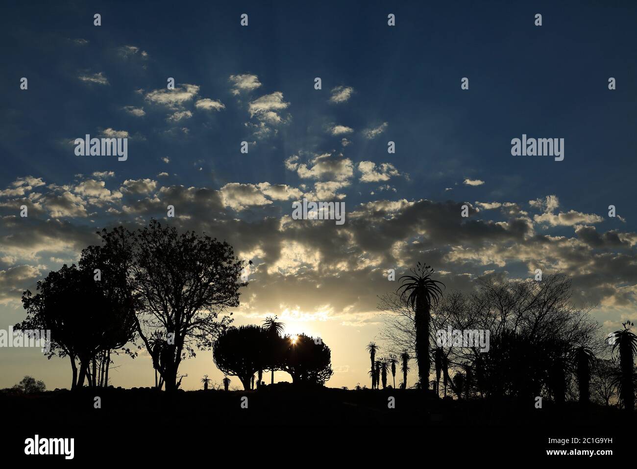 Zimbabwe night sky hi-res stock photography and images - Alamy