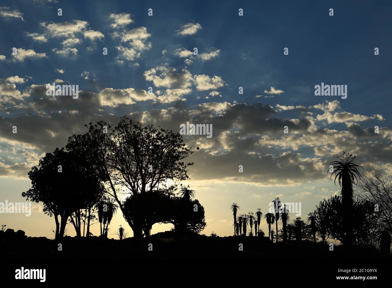 A Sunset in Zimbabwe Stock Photo - Alamy