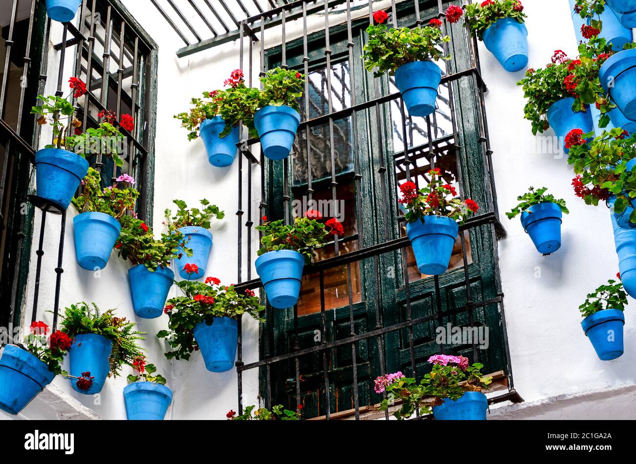 Pot plant courtyard hi-res stock photography and images - Alamy