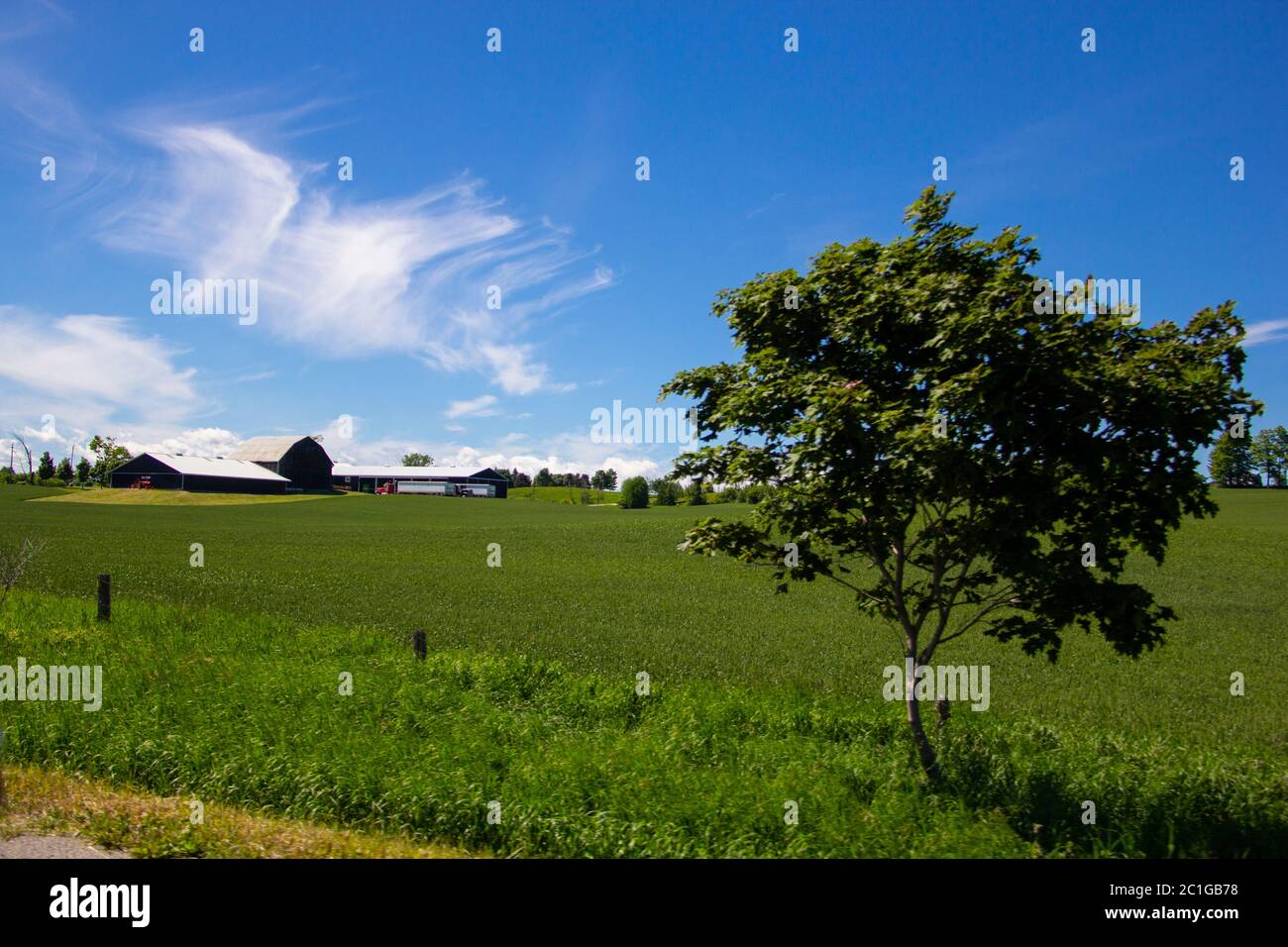 Barns in a field Stock Photo - Alamy