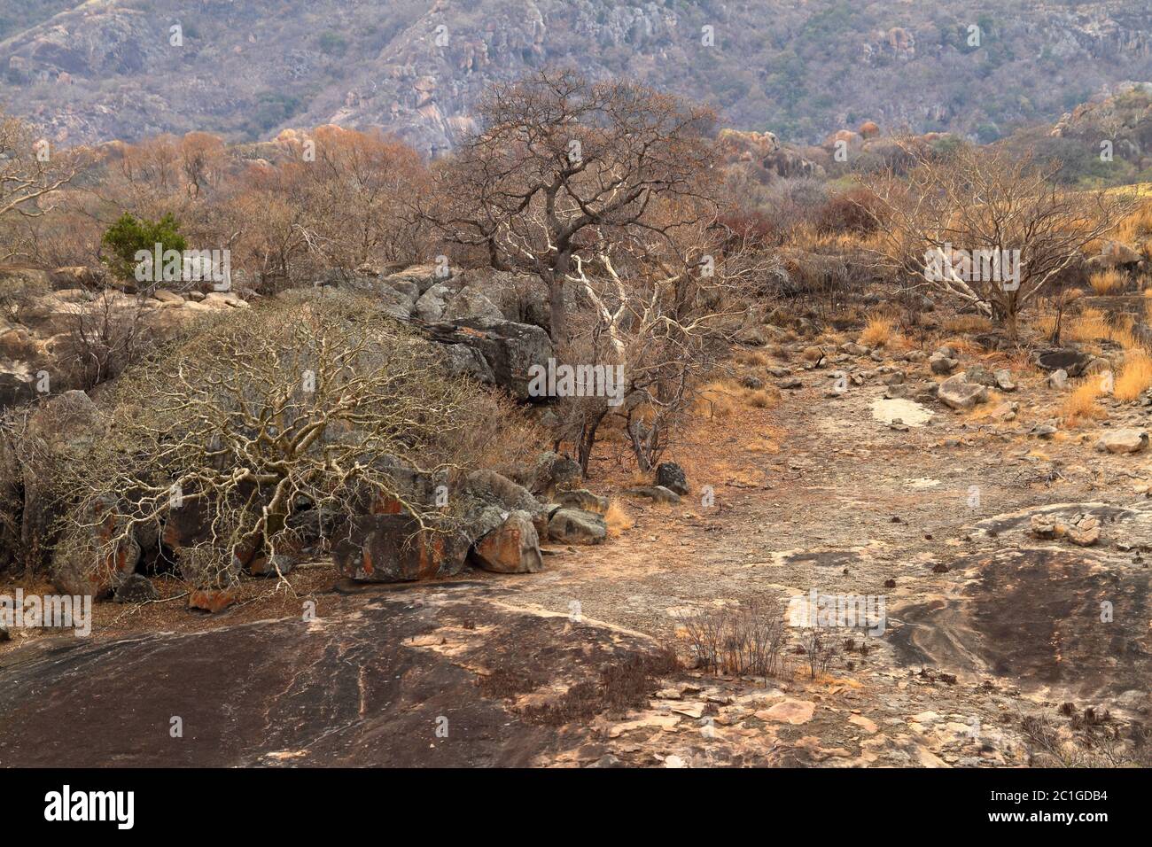 The landscape of the Matopo National Park in Zimbabwe Stock Photo - Alamy