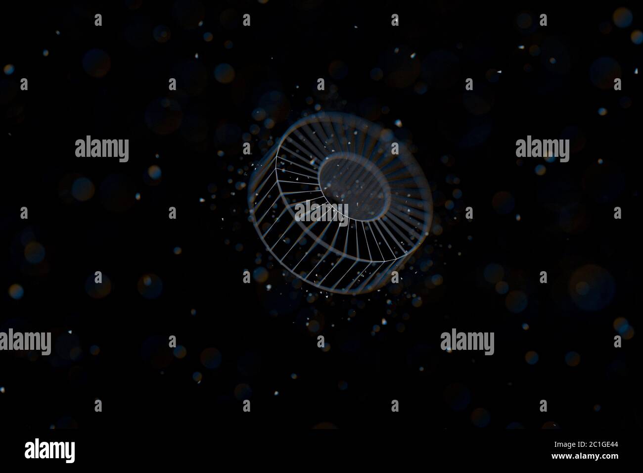 Wire frame cylinder. Connected dots and lines. connection structure. 3d ...