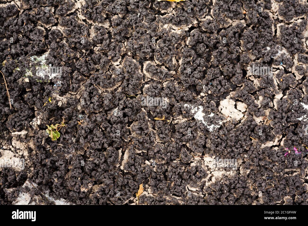 Drought soil texture in polluted river Stock Photo - Alamy