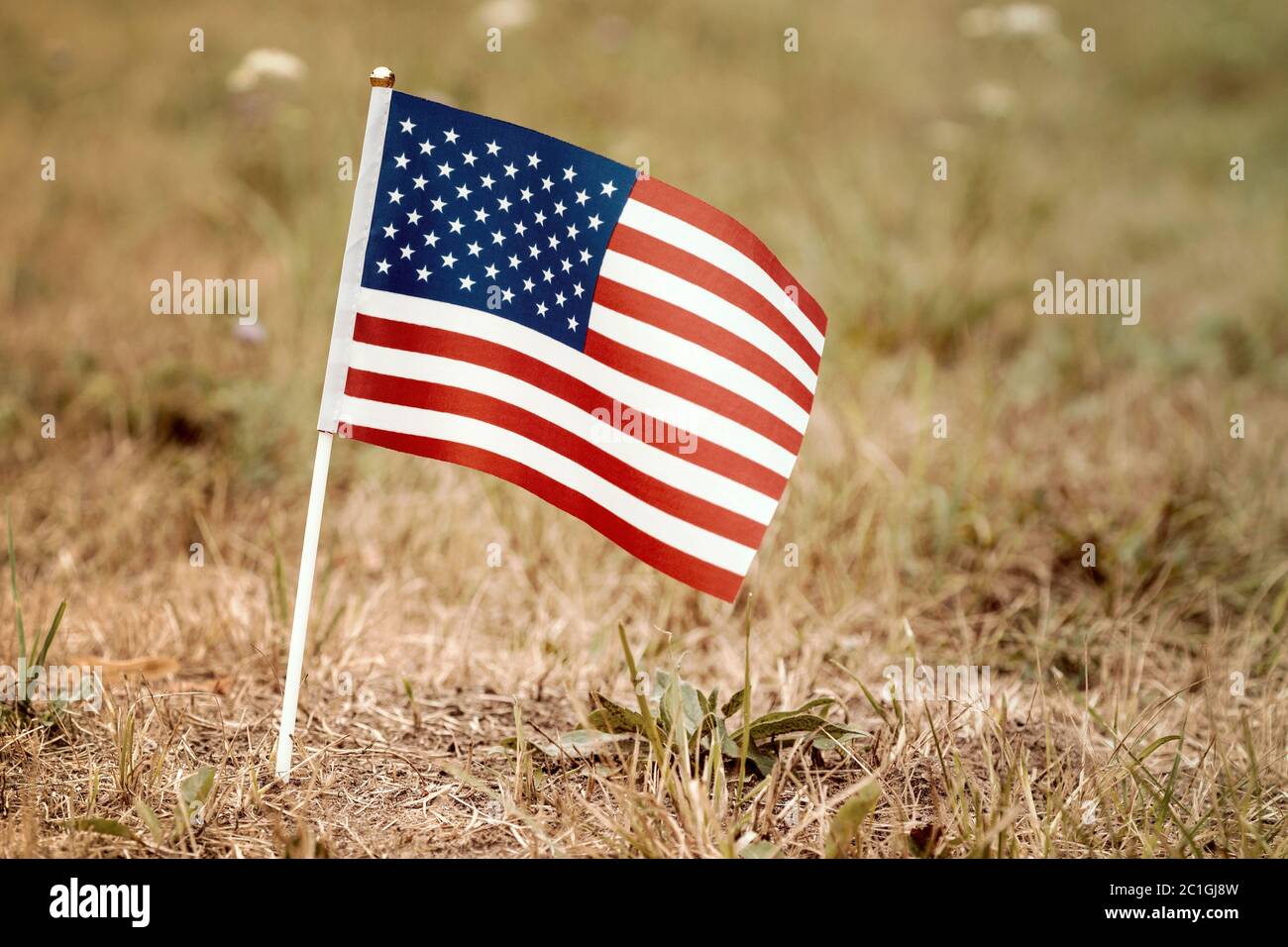 United States flag in the ground Stock Photo - Alamy