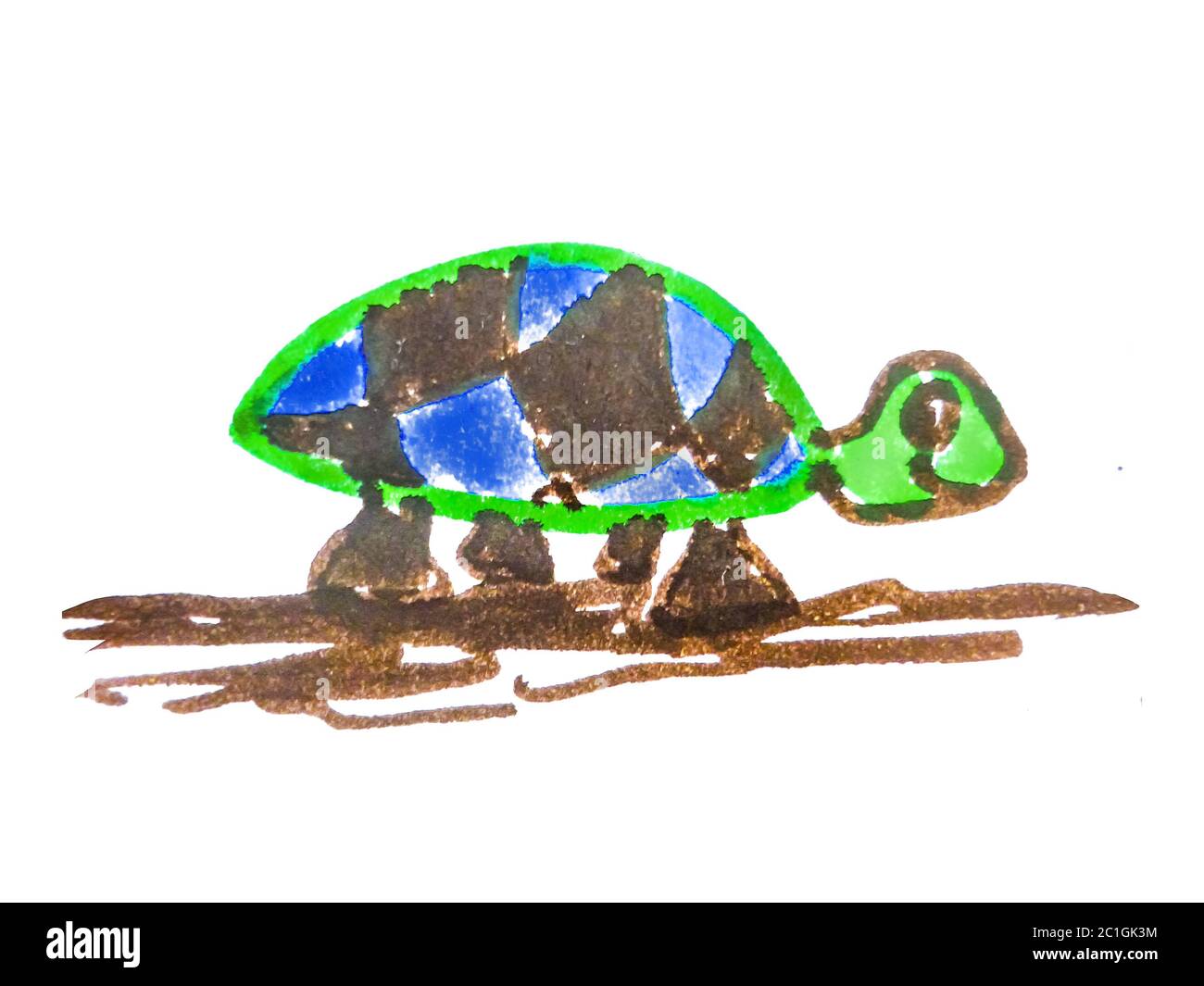 Turtle hand sketch Cut Out Stock Images & Pictures - Alamy