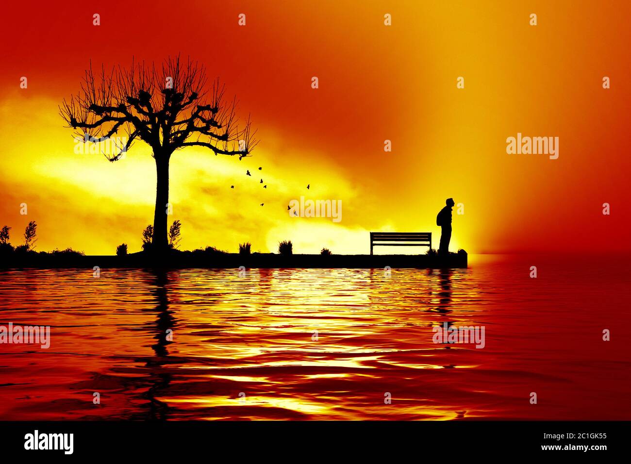 man at the sunset lake Stock Photo - Alamy