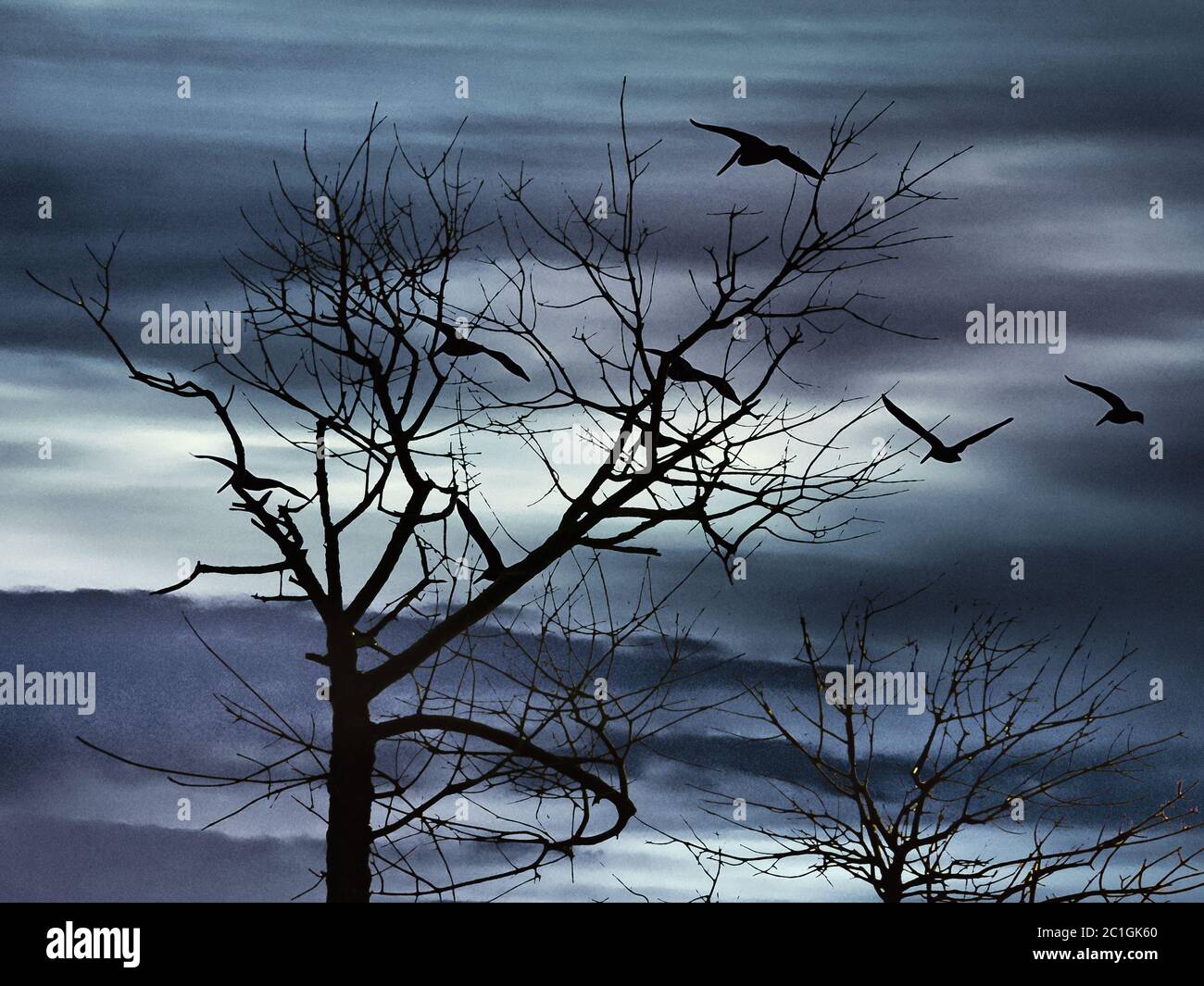 Night Nature Scene Background Stock Photo - Alamy