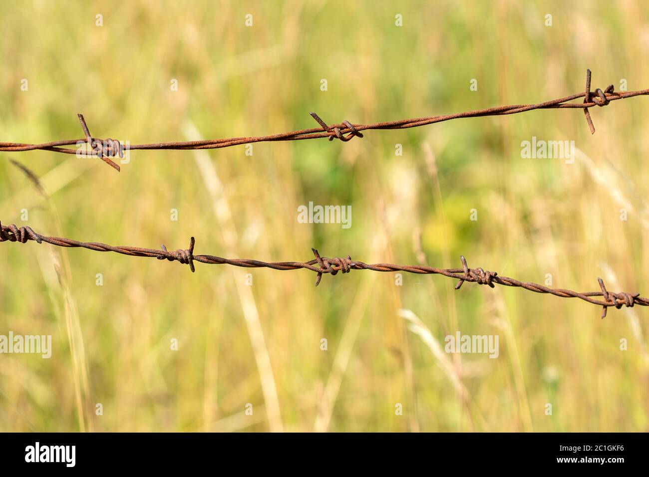 The old barbed wire Stock Photo - Alamy