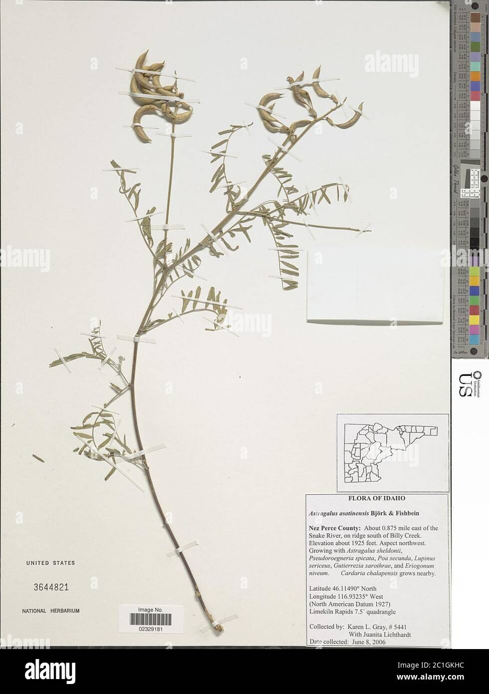 Fishbein hi-res stock photography and images - Alamy