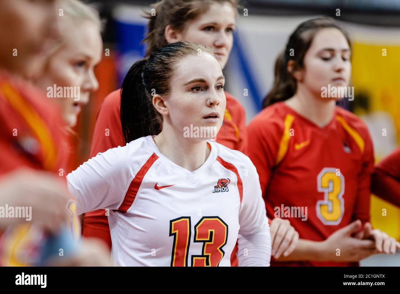 Volleyball woman players Calgary Dinos - timeout, libero Stock Photo ...