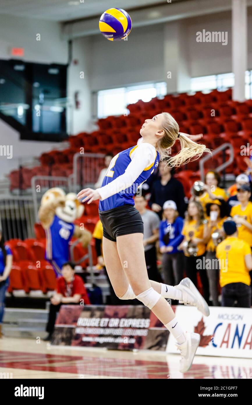 Volleyball woman player Ryerson Rams - service, serving Stock Photo - Alamy