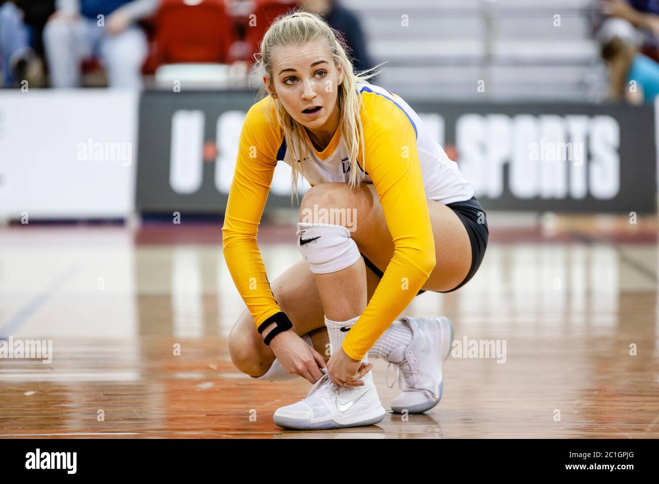 Volleyball woman player Ryerson Rams - timeout, lace, libero Stock ...