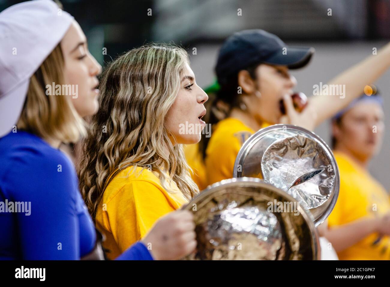 Volleyball woman player Ryerson Rams - supporter, fans Stock Photo - Alamy